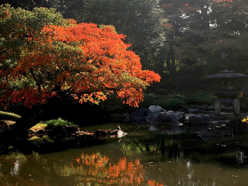 Kyu Furukawa Garden – Jonelle Patrick writes about Japan