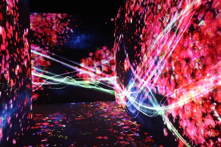 The NEW TeamLab Borderless Digital Museum – Jonelle Patrick writes ...