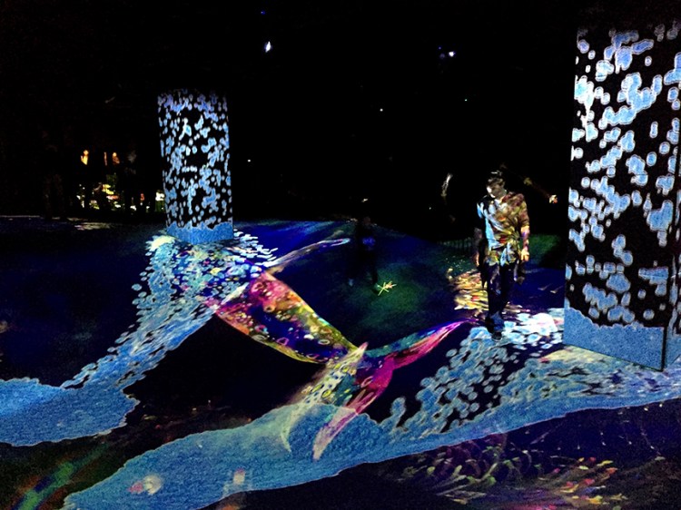 Tips & tricks for maximum fun at the new TeamLab Borderless – Jonelle ...