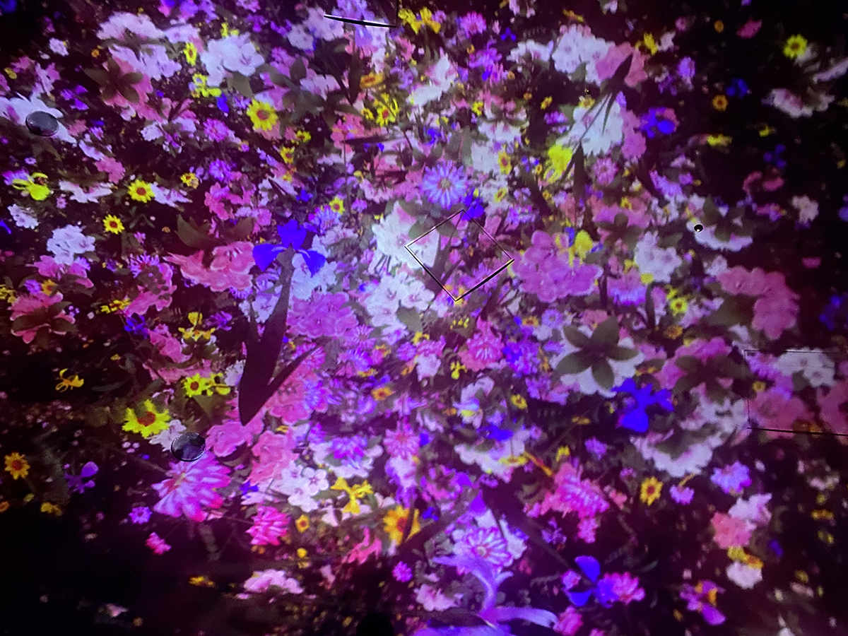 TeamLab Planets – Jonelle Patrick writes about Japan