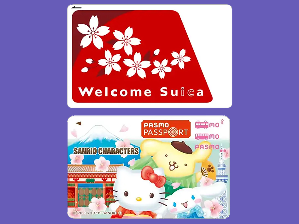 How to get and use a visitor transit card – Jonelle Patrick writes ...