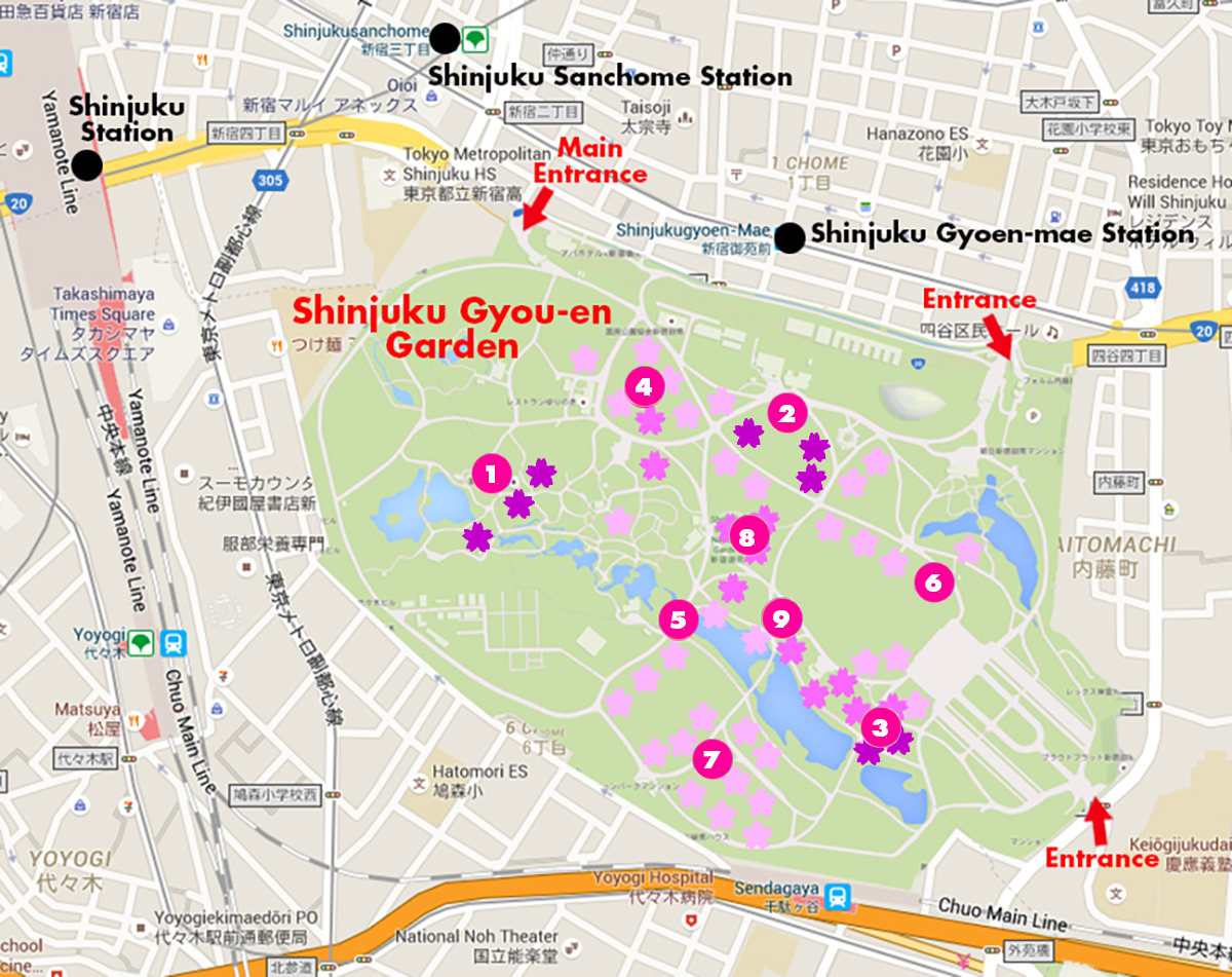 Cherry Blossom Map: Shinjuku Gyōen – Jonelle Patrick writes about Japan