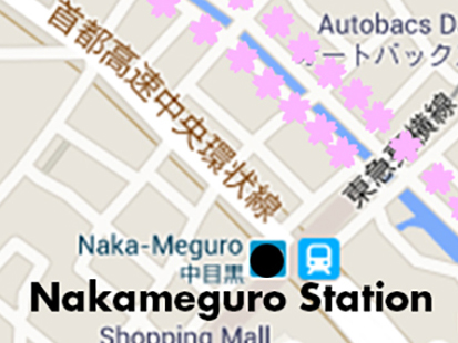 Cherry Blossom Map: Meguro River – Jonelle Patrick writes about Japan